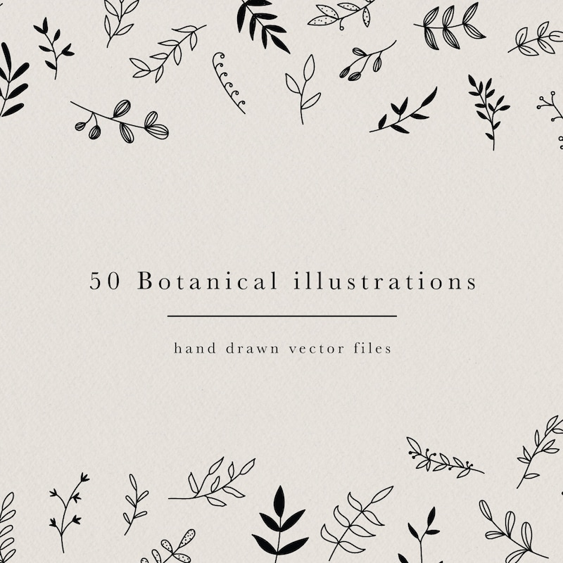 Botanical Clip Art - Etsy