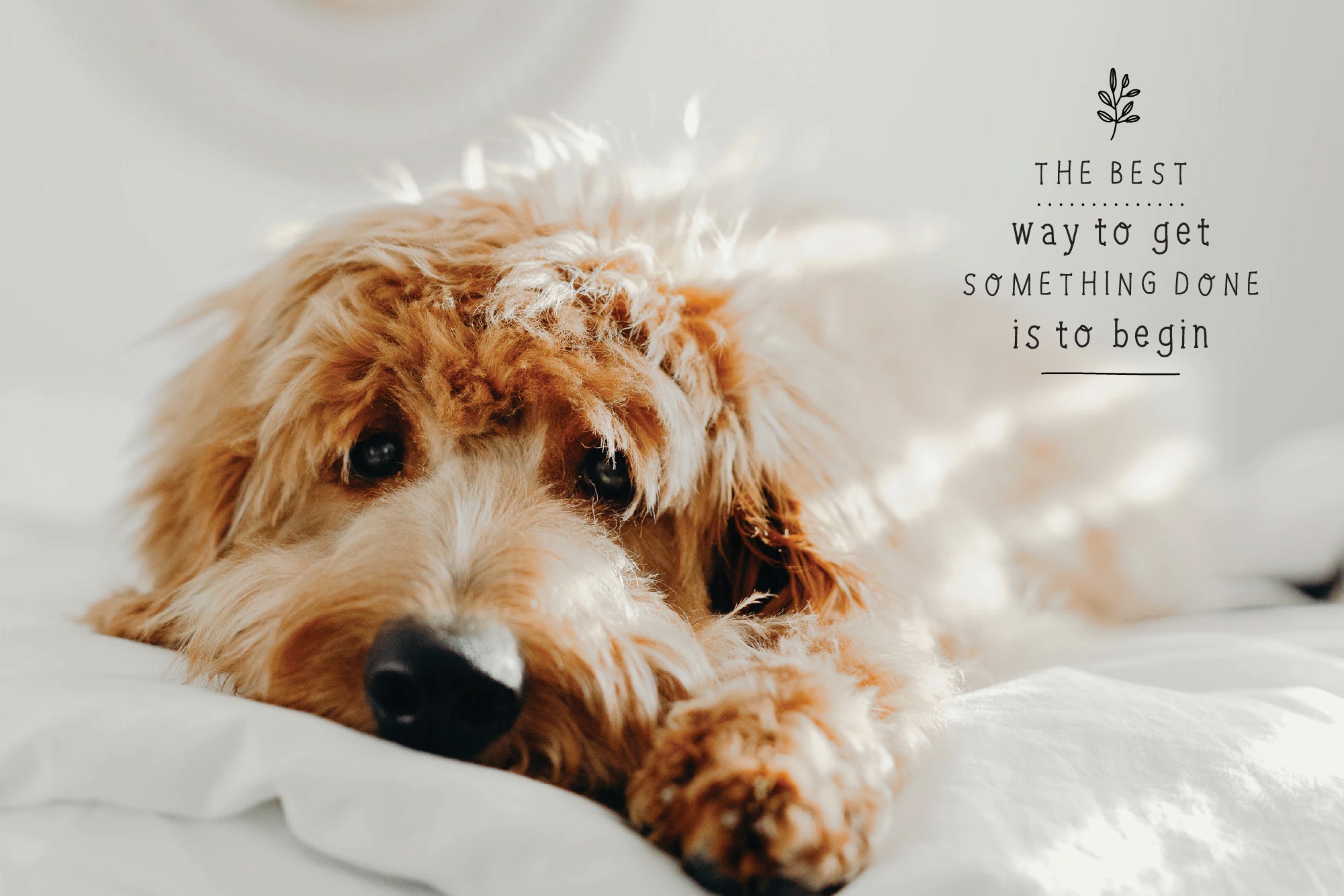 Hand Drawn Serif Font, Maureen Francisca Font, Serif Condensed Style ...