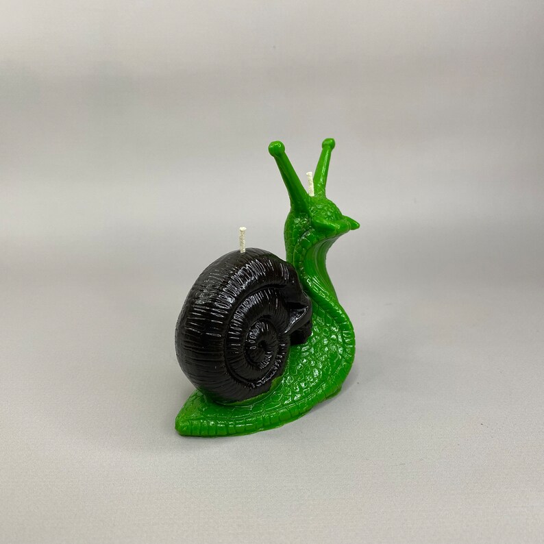 Snail With a Skull. Snail Mold 3d. Forms for Candles. Silicone - Etsy