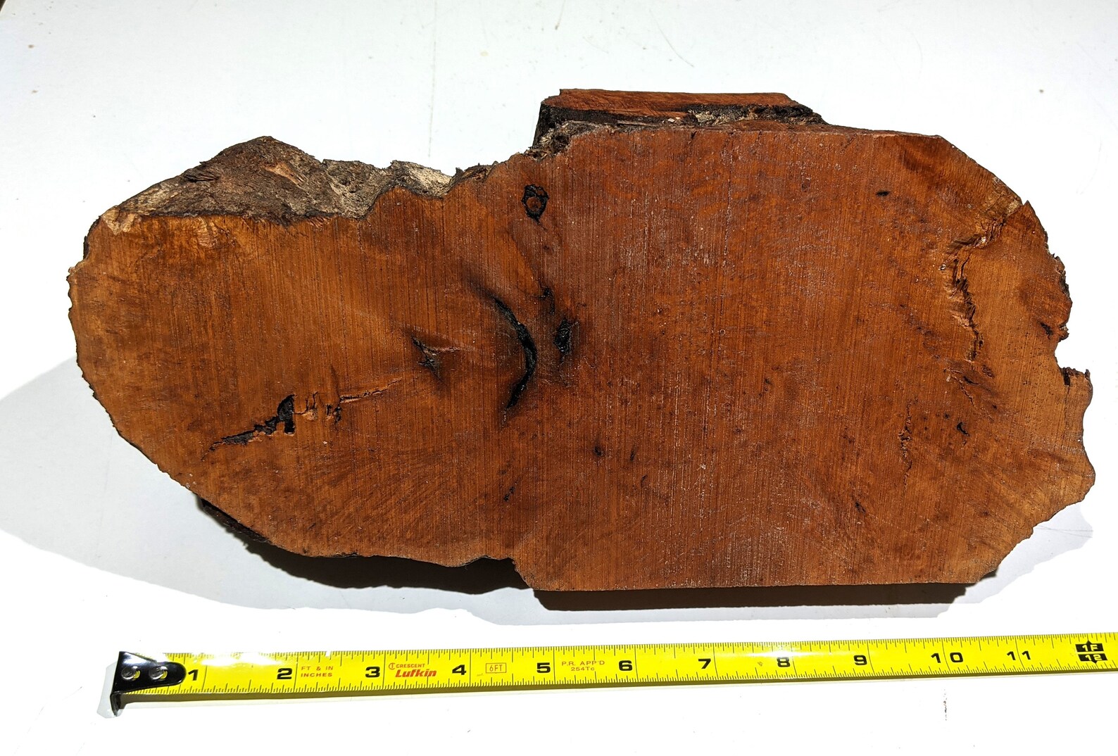 Briar root burl 11 x 5-1/2 x 3-1/2 maximum | Etsy