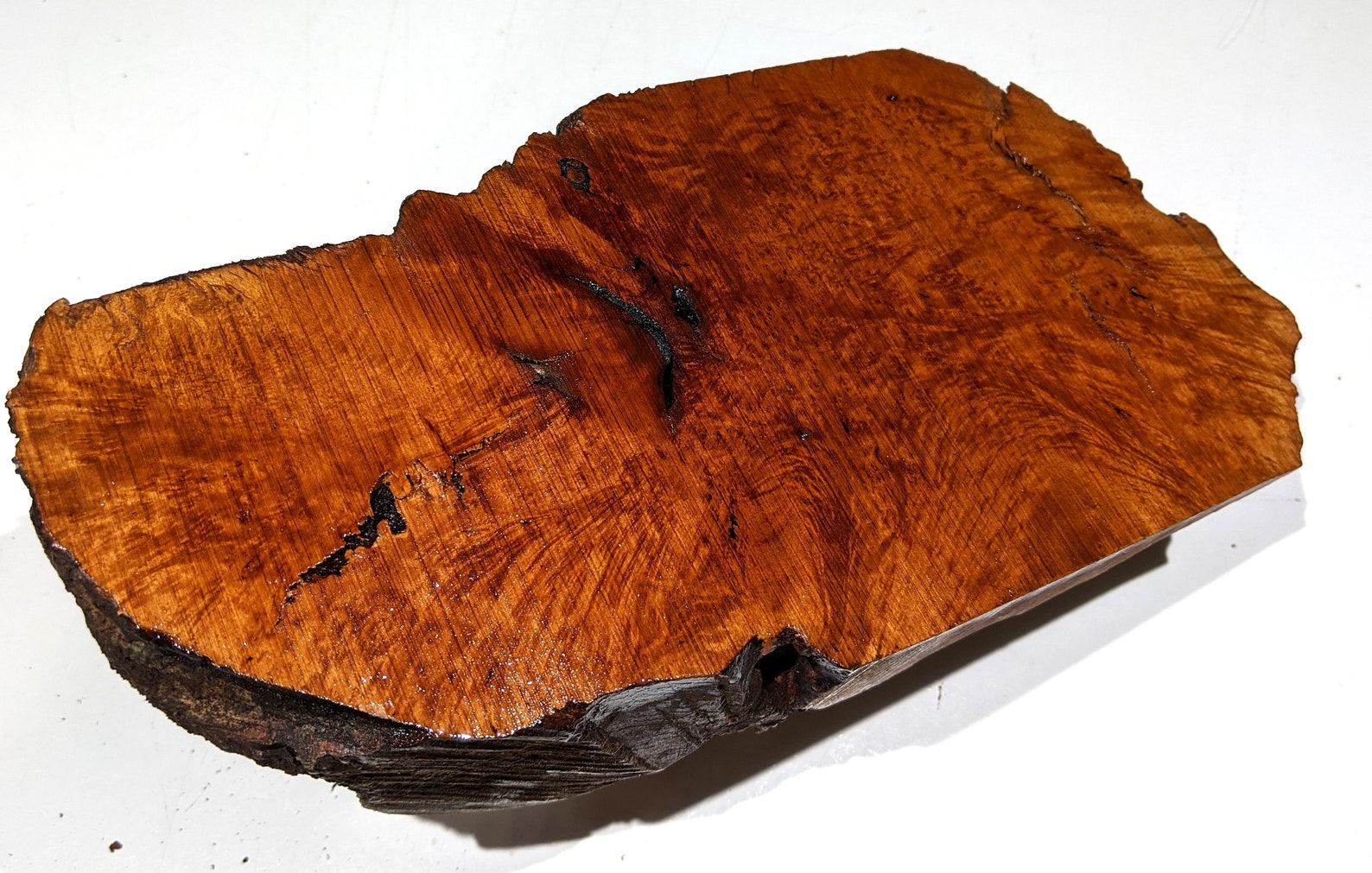 Briar root burl 11 x 5-1/2 x 3-1/2 maximum | Etsy