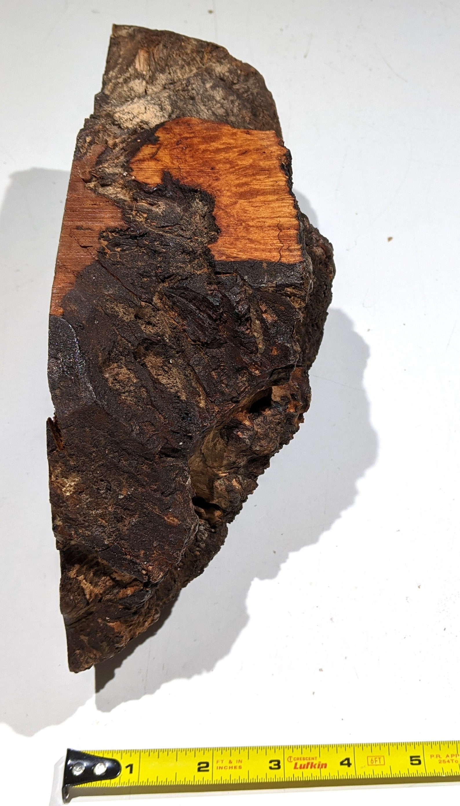 Briar root burl 11 x 5-1/2 x 3-1/2 maximum | Etsy