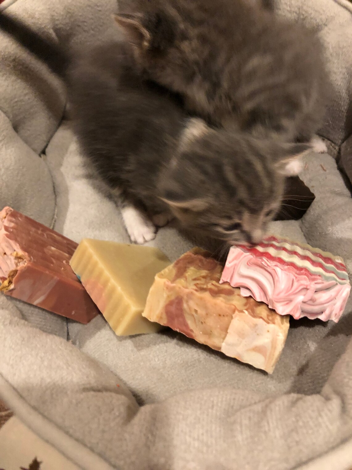 Goat Milk Organic Shea Butter & Colloidal Silver Soap - Etsy