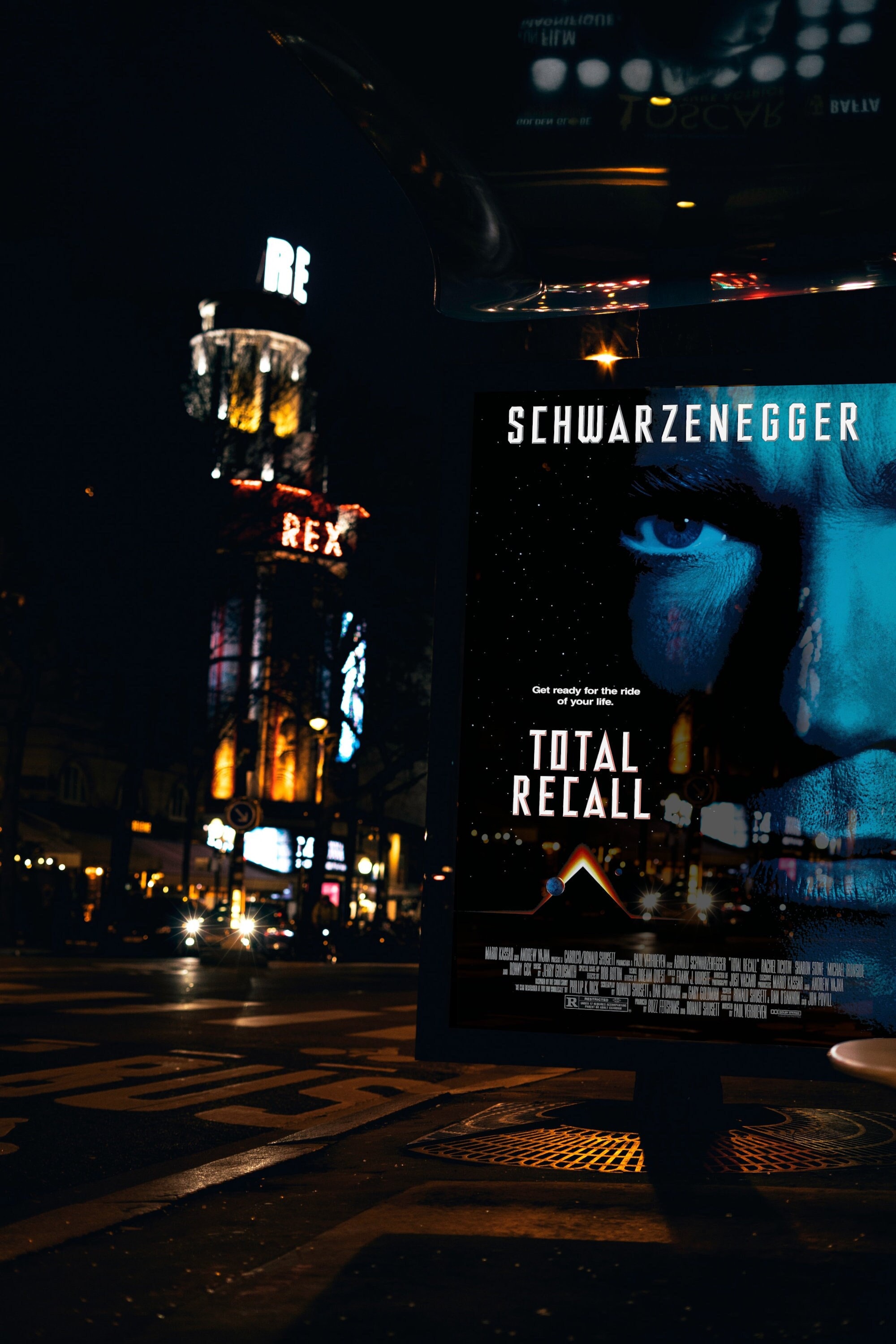 Sharon Stone Total Recall Wallpaper