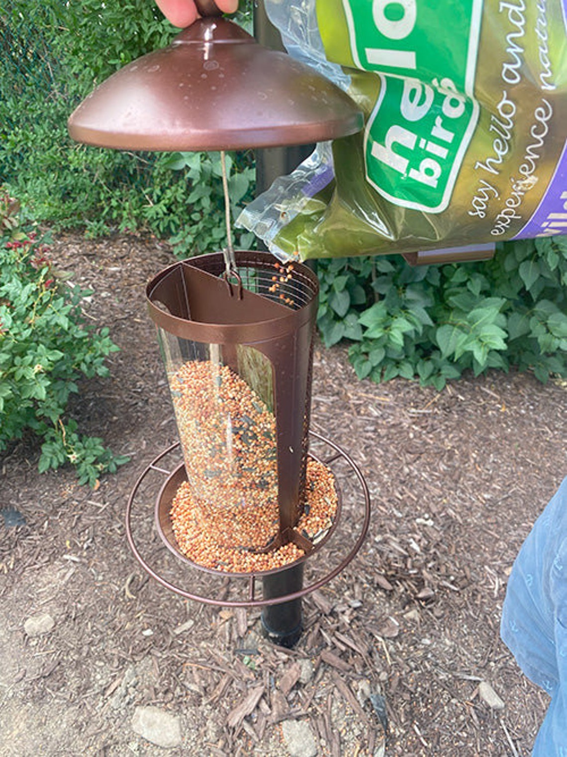 Flagpole Bird Platform and Feeders - Etsy