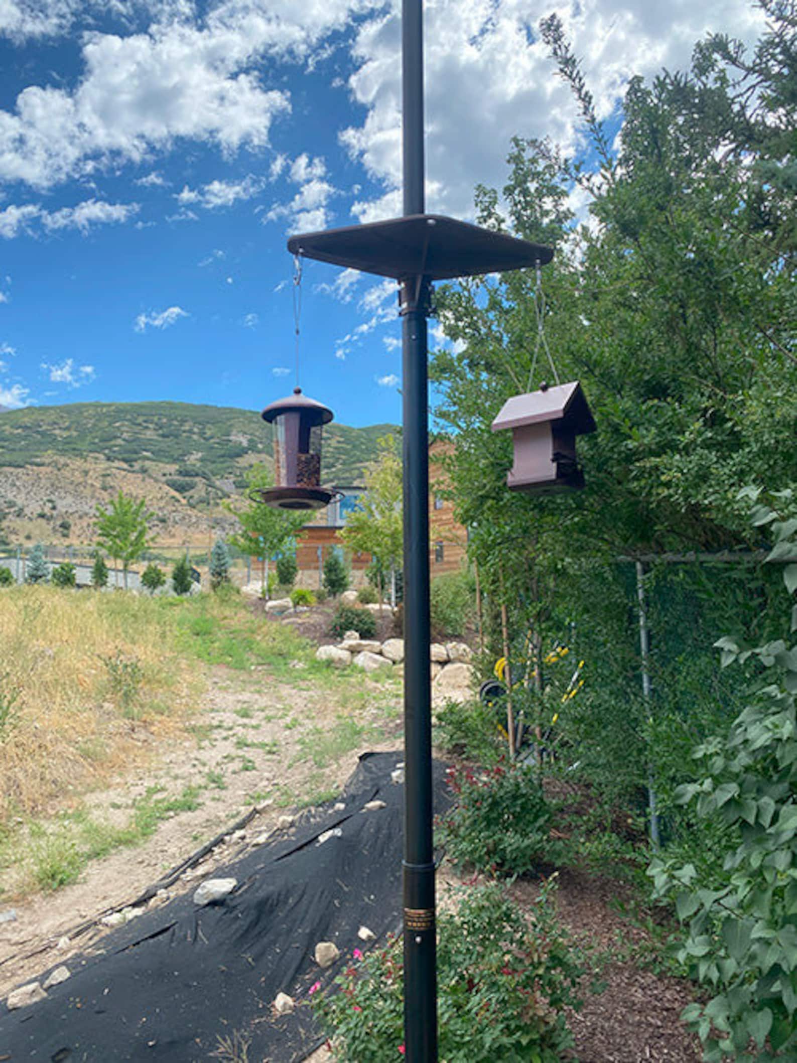 Flagpole Bird Platform and Feeders - Etsy