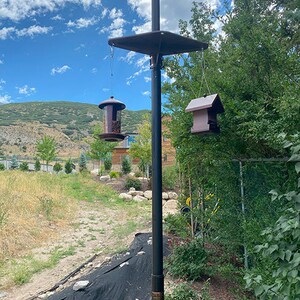 Flagpole Bird Platform and Feeders - Etsy