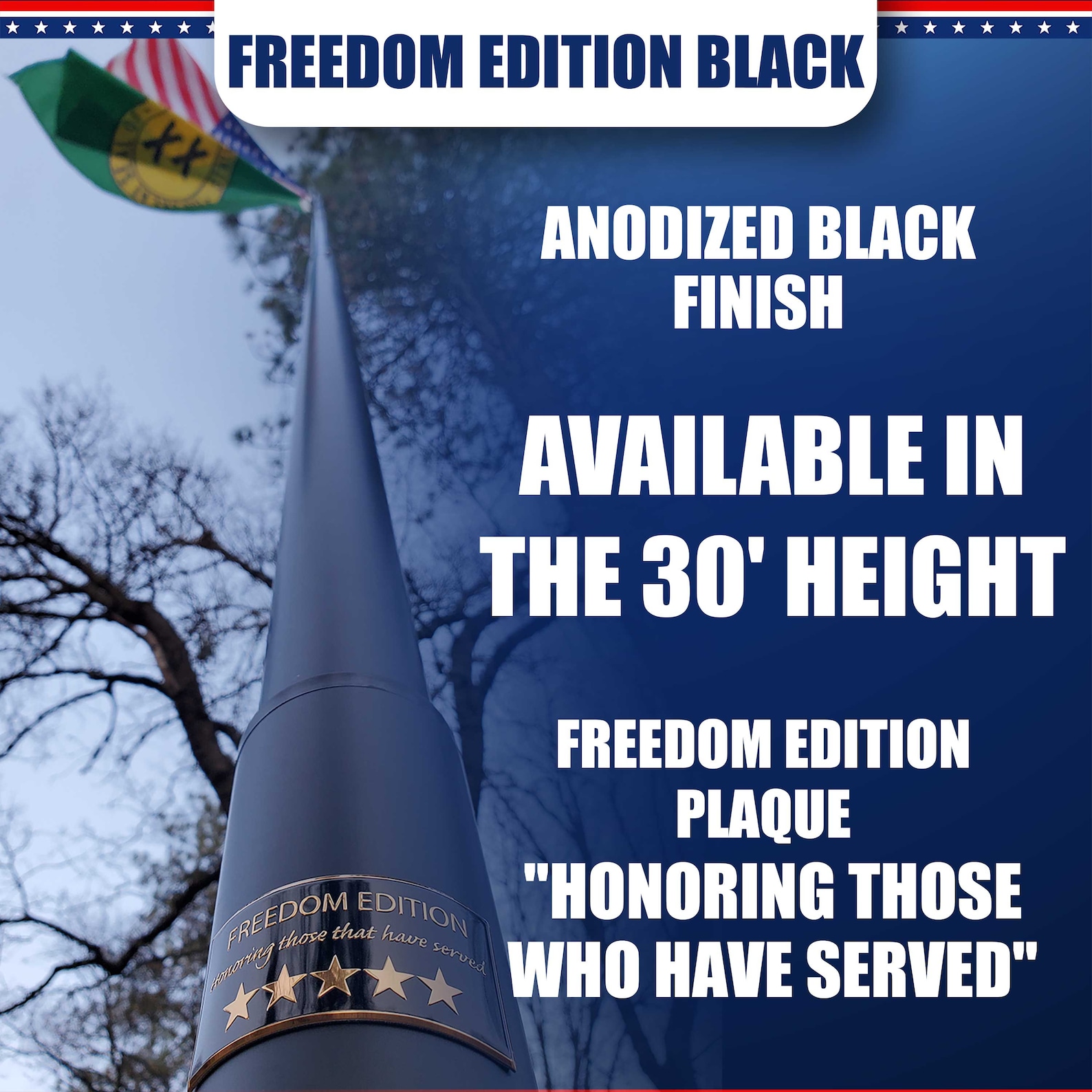 30' Delta SECTIONAL Flagpole "freedom Edition" (black) - Etsy