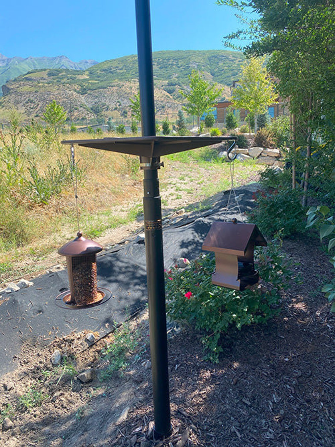 Flagpole Bird Platform and Feeders - Etsy