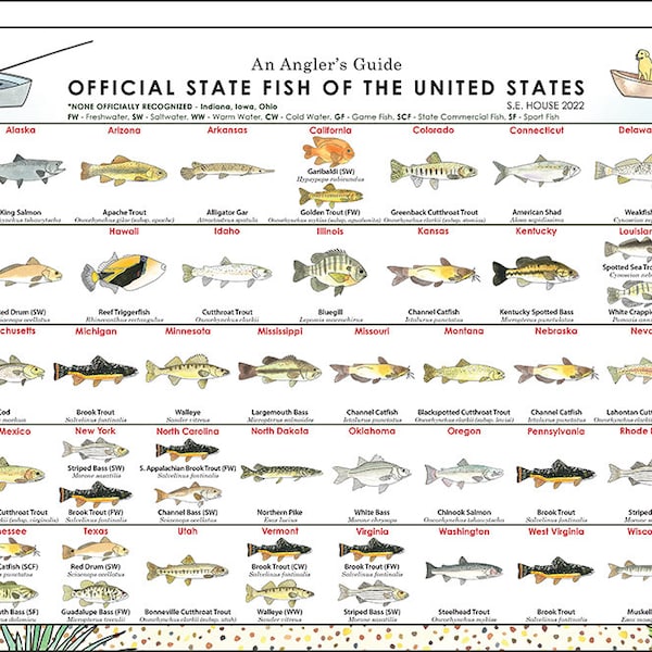 Species Chart Poster - Etsy