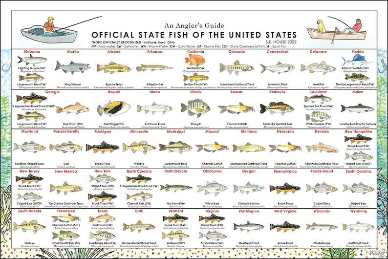 State Fish of the United States Poster, Fish Chart, Fish Field Guide ...