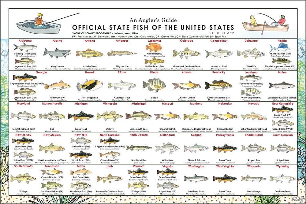 State Fish of the United States Poster, Fish Chart, Fish Field Guide ...