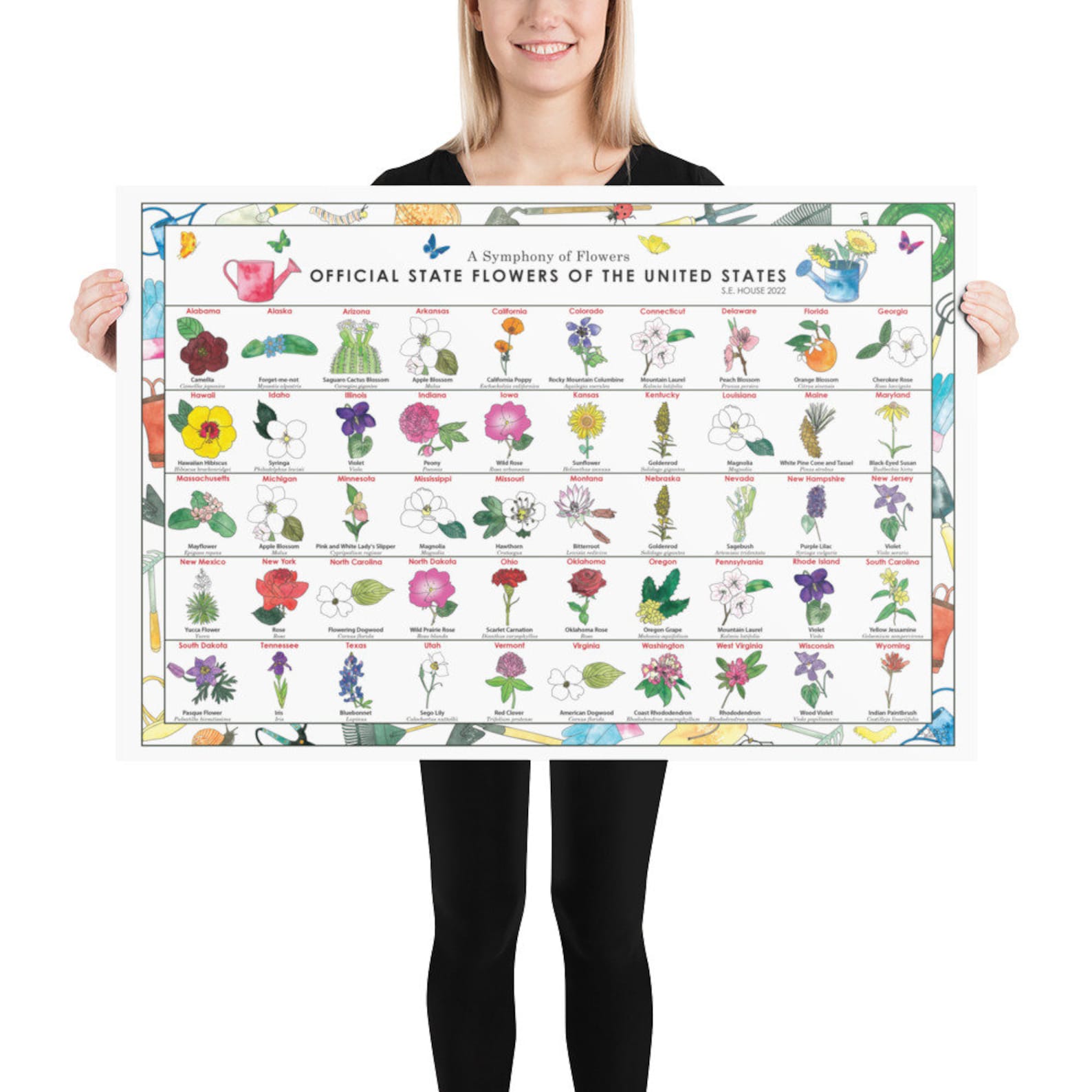 State Flowers Poster, Flowers of North America, Flowers of the United ...