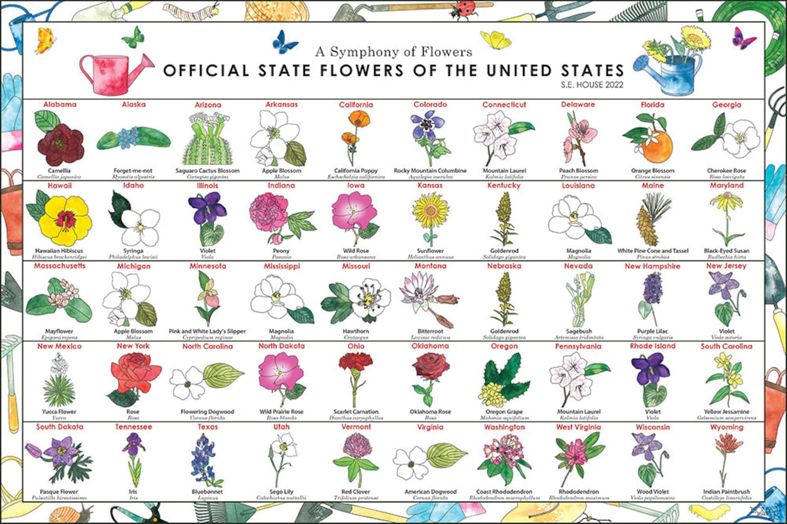 State Flowers Poster, Flowers of North America, Flowers of the United ...