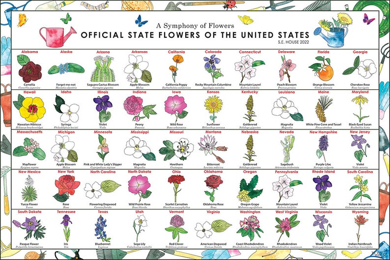 State Flowers Poster, Flowers of North America, Flowers of the United ...