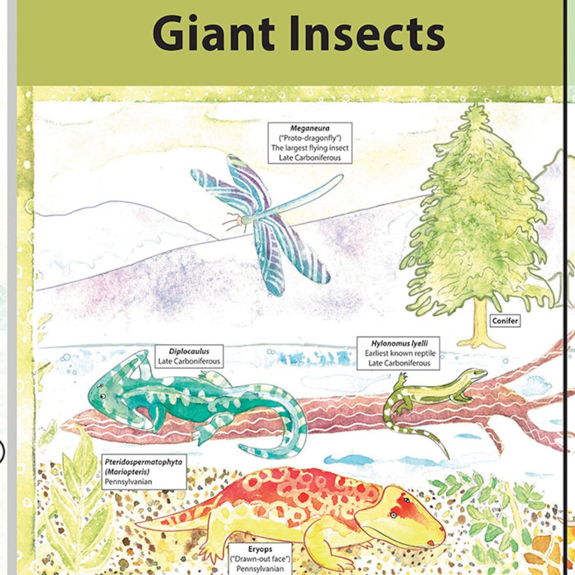 Geologic Time, Geologic Timeline, Geologic Time Line, Geologic Time ...
