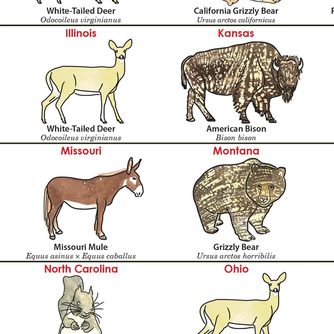 State Mammals of the United States Poster, United States Wildlife Guide ...