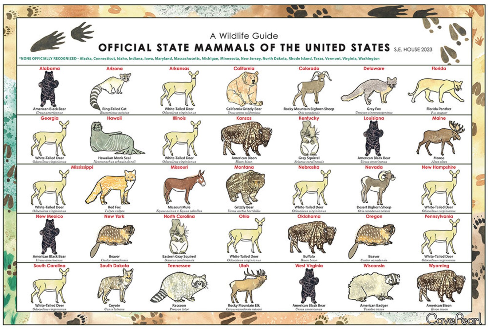 State Mammals of the United States Poster, United States Wildlife Guide ...