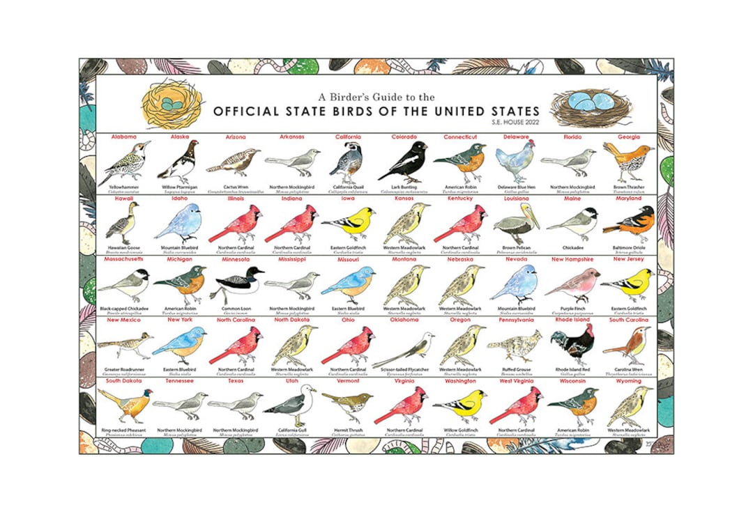 Birds of North America, State Birds of the United States, Bird ...