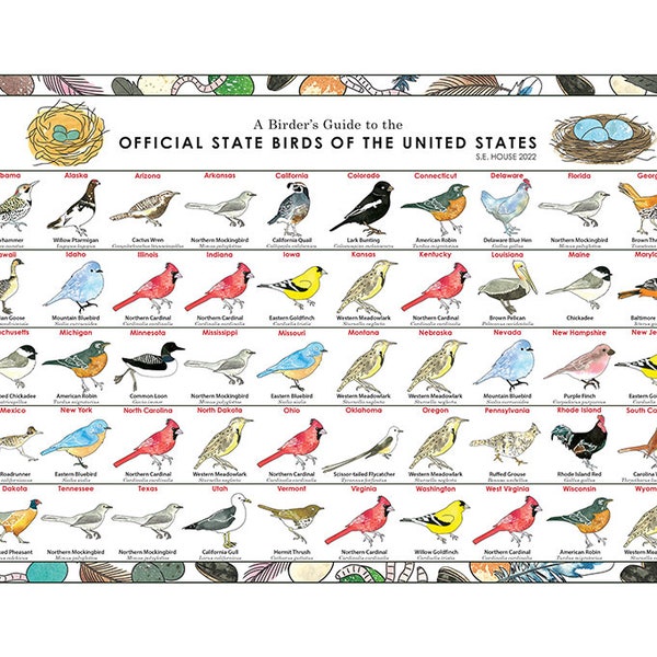 State Bird - Etsy