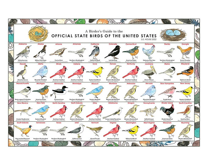 Ontario Backyard Birds Field Guide Art Print / Watercolor Painting ...