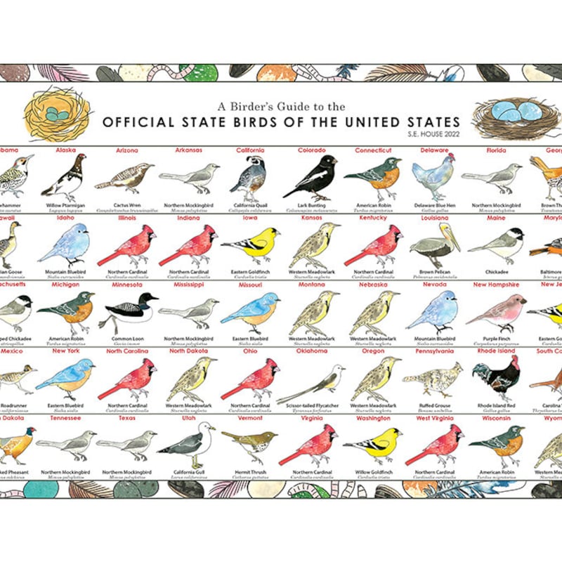 State Bird - Etsy