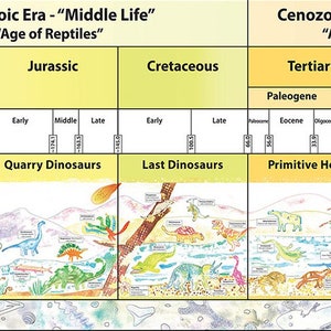 Geologic Time, Geologic Timeline, Geologic Time Line, Geologic Time ...
