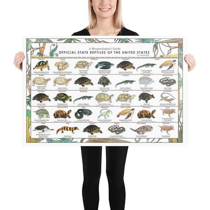State Reptiles of the United States, Herpetology Poster Print Art ...