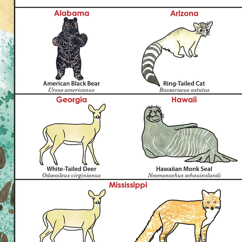 State Mammals of the United States Poster, United States Wildlife Guide ...