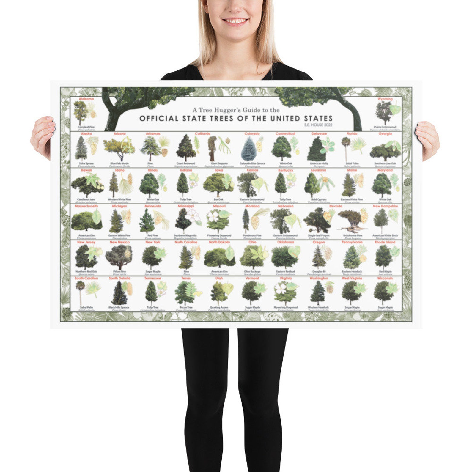 Trees of North America, State Trees of the United States, Tree ...