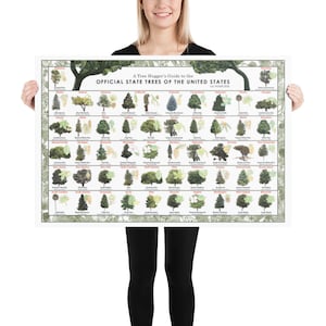 Trees of North America, State Trees of the United States, Tree ...