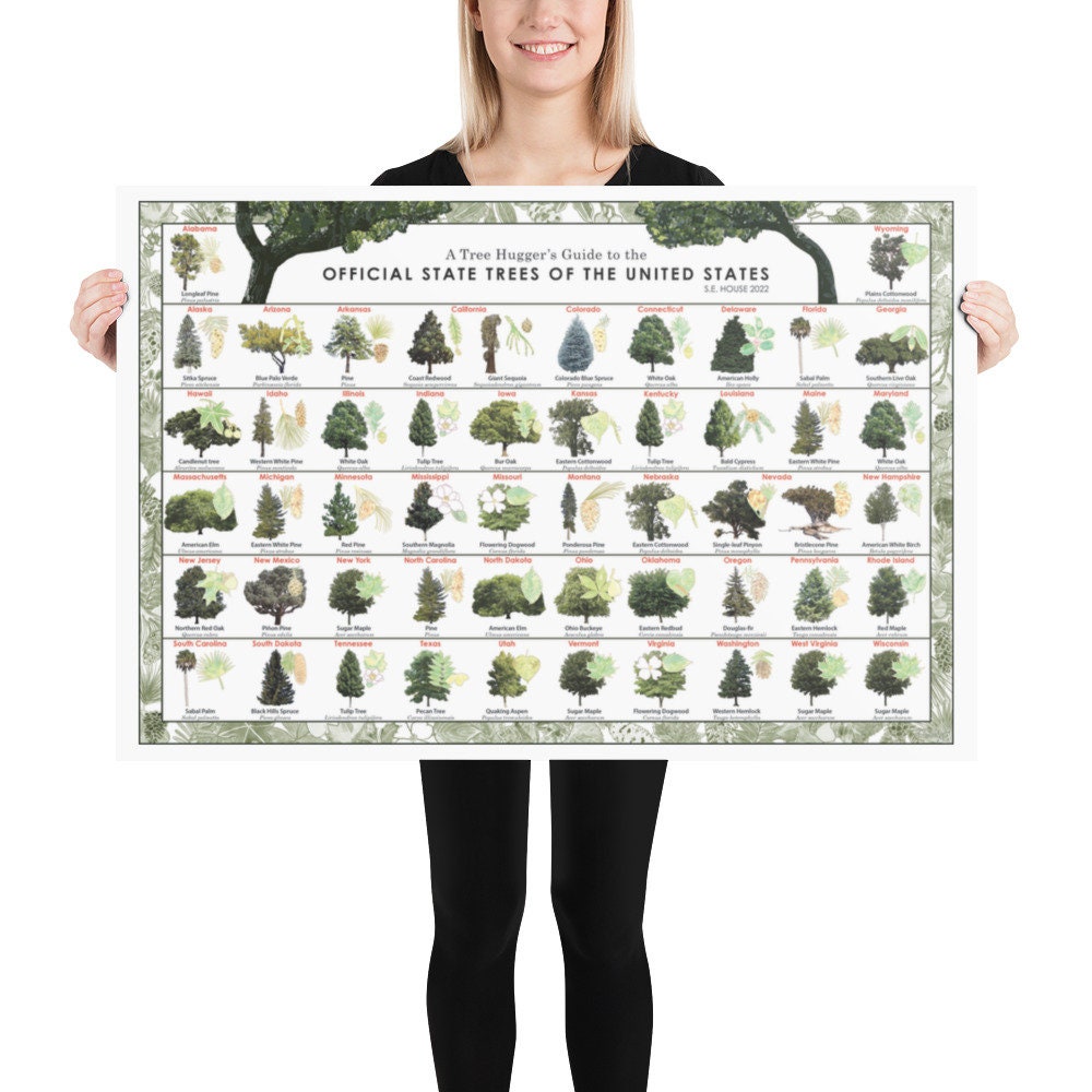 Trees of North America, State Trees of the United States, Tree ...