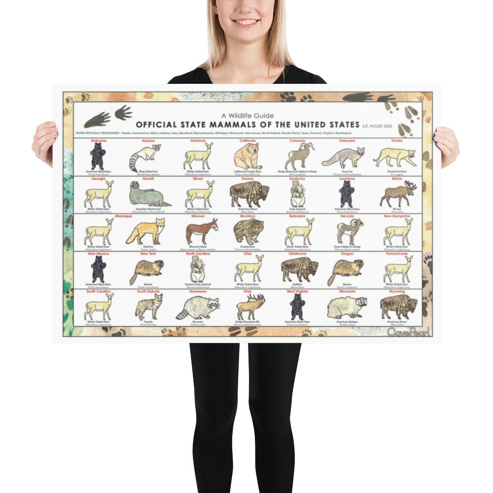 State Mammals of the United States Poster, United States Wildlife Guide ...