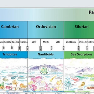 Geologic Time, Geologic Timeline, Geologic Time Line, Geologic Time ...