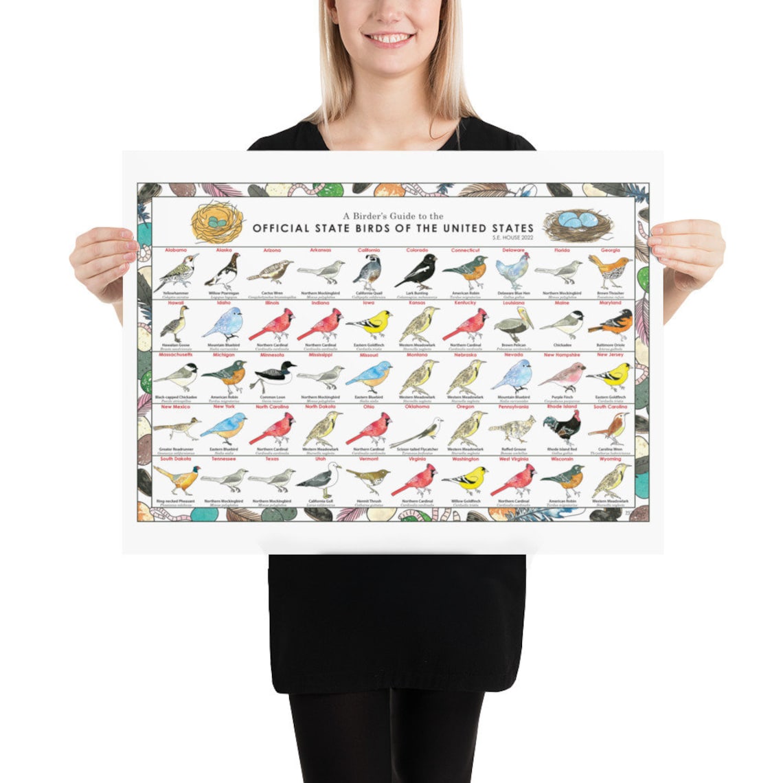 Birds of North America, State Birds of the United States, Bird ...