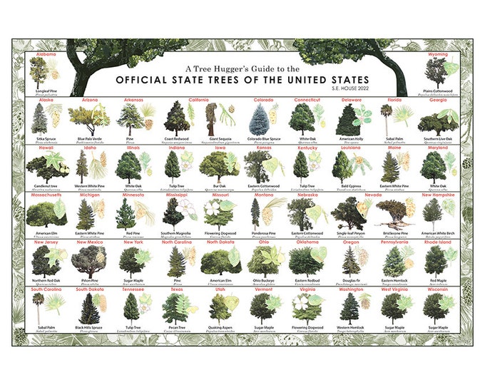 Sibley’s Common Trees of Eastern North America Poster - Etsy