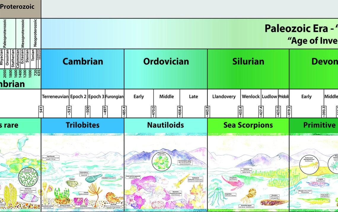 Geologic Time Geologic Timeline Geologic Time Line Geologic | Etsy