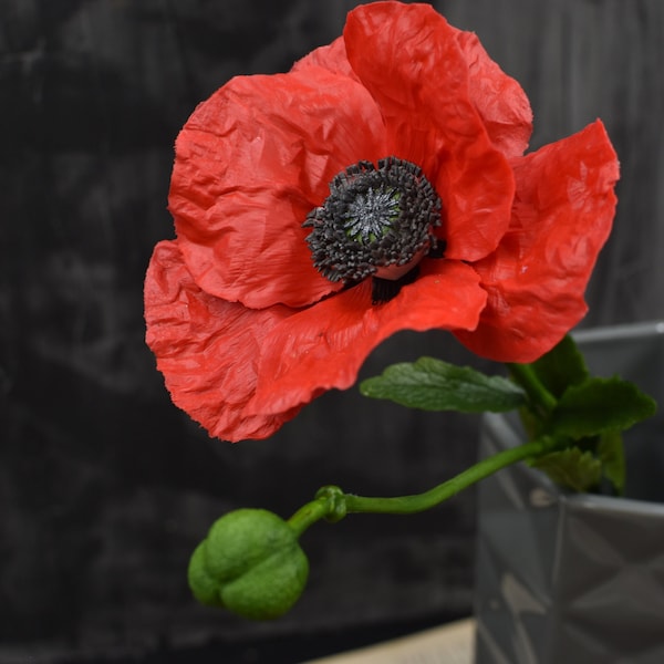 Porcelain Poppy - Etsy