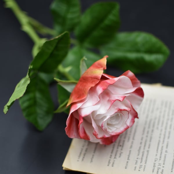 Porcelain Roses - Etsy