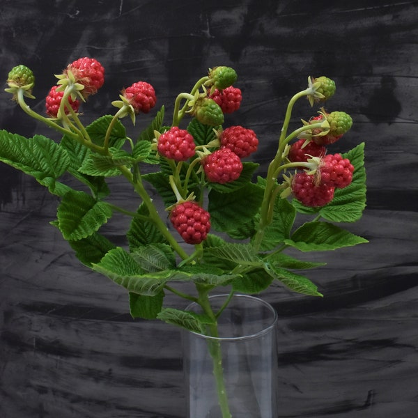 Raspberry Decor - Etsy