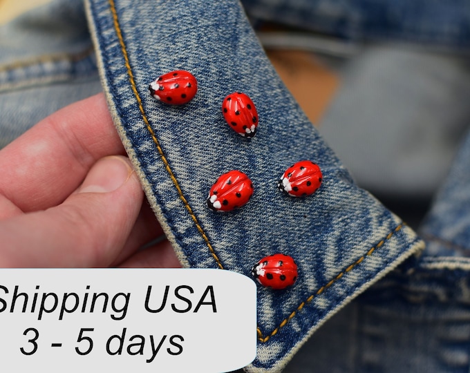 Ladybug Pin Realistic Ladybird Ladybug Miniature Brooch Clay Ladybug ...