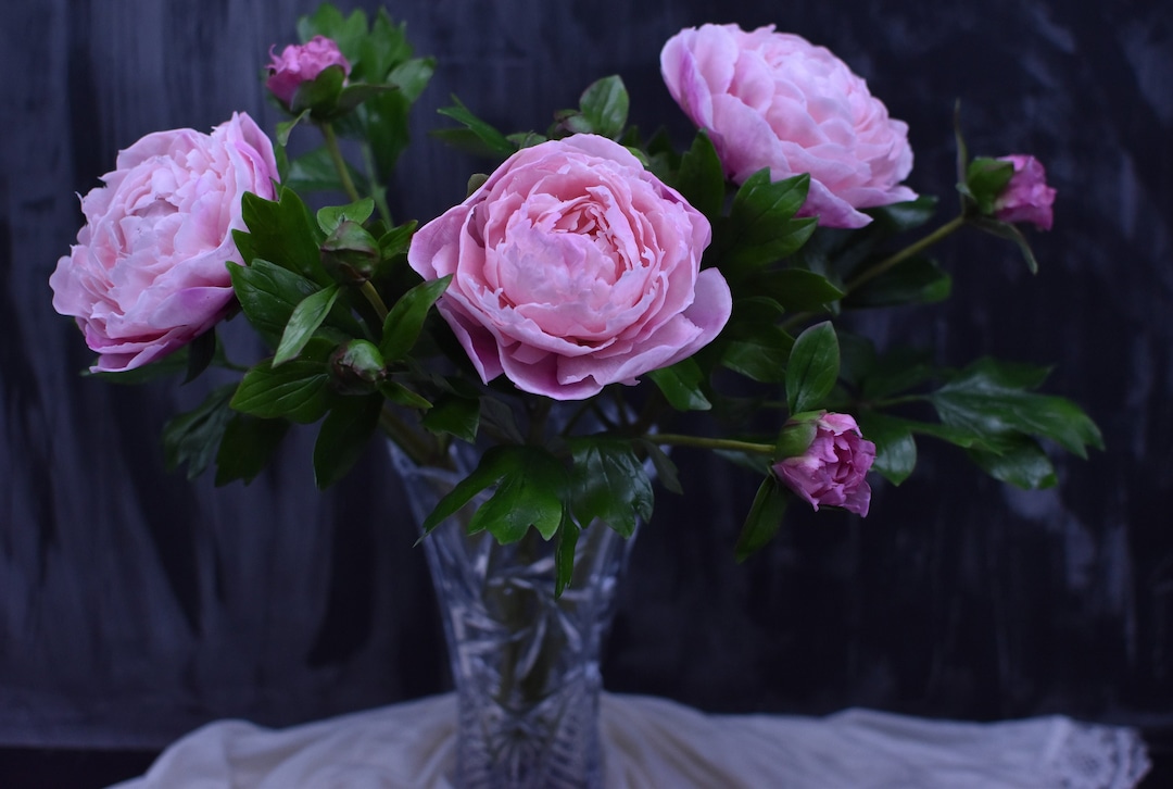 Bouquet Pink Peonies Cold Porcelain Clay Peony Porcelain Flowers ...