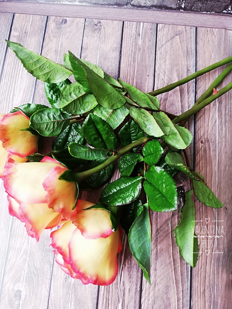 Rose bush roses rose flower wild flowers flowers for wife | Etsy