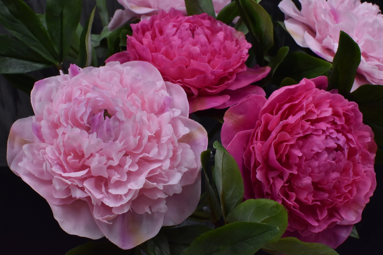 Bouquet of Peonies Pink Peony Cold Porcelain Clay Peony - Etsy