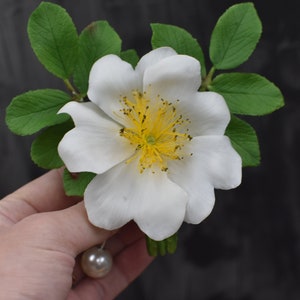 Brooch Wild Rose Cold Porcelain Rosa Canina Wedding Rose Boho Brooch ...