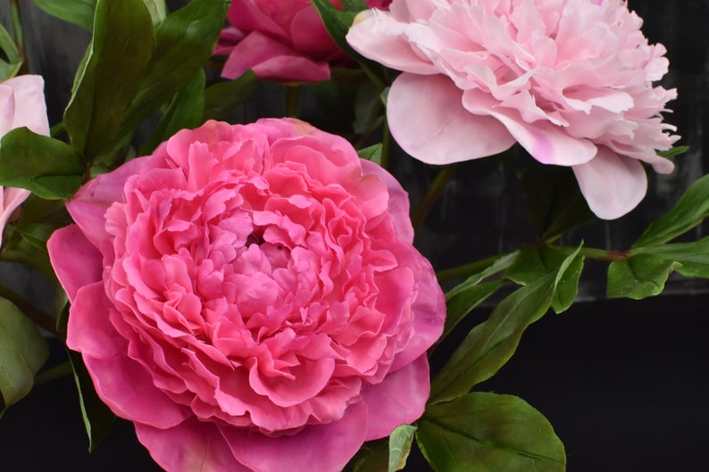 Bouquet of Peonies Pink Peony Cold Porcelain Clay Peony - Etsy