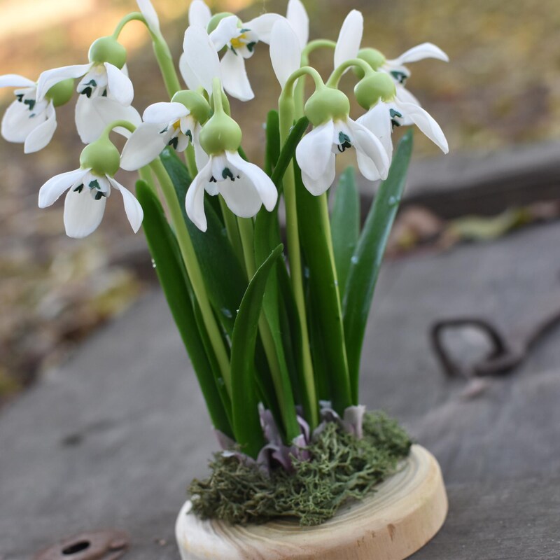 FlowersPorcelainArt - Etsy