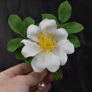 Brooch Wild Rose Cold Porcelain Rosa Canina Wedding Rose Boho Brooch ...