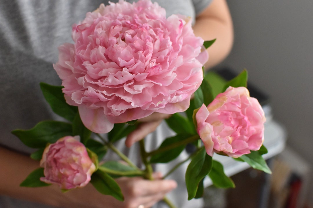Peony Pink From Cold Porcelain Clay Peony Porcelain Flowers Ceramic ...