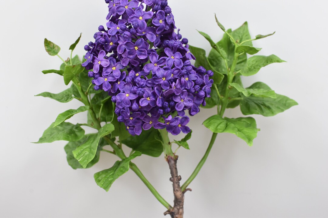 Clay Lilac Bouquet of Lilac Cold Porcelain Flowers Ceramic Flower Lilac ...